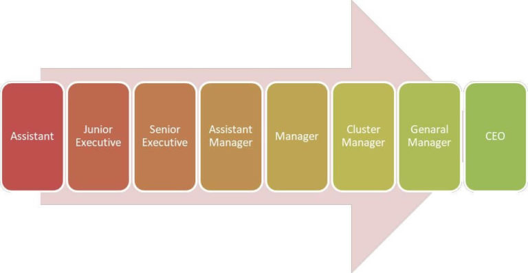 What is Career Mapping in HR? | Template + Example Guide 2023