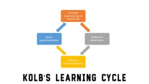 Kolb's Learning Cycle + Practical Example [Complete Guide]