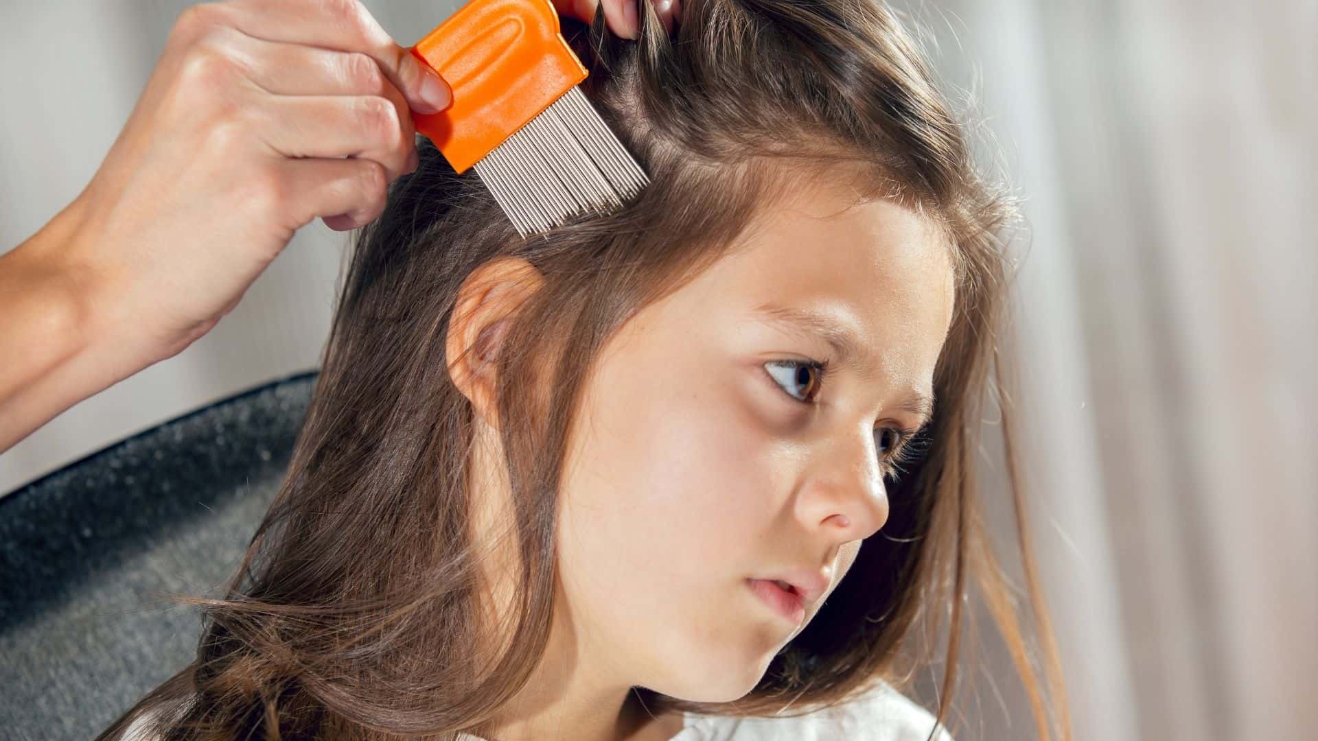 How to Tell the Difference Between Lice and Dandruff?