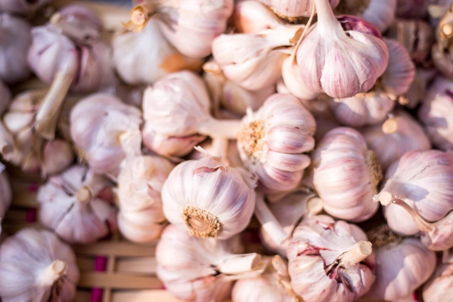 How To Tell If Garlic Is Bad