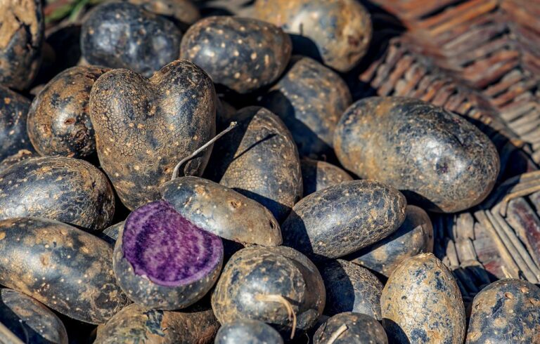 Are Black Potatoes Safe To Eat? - Emozzy